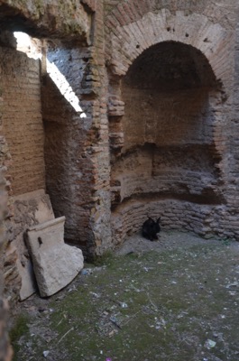 What to do in Rome (And an easy way to save money whilst doing it ...