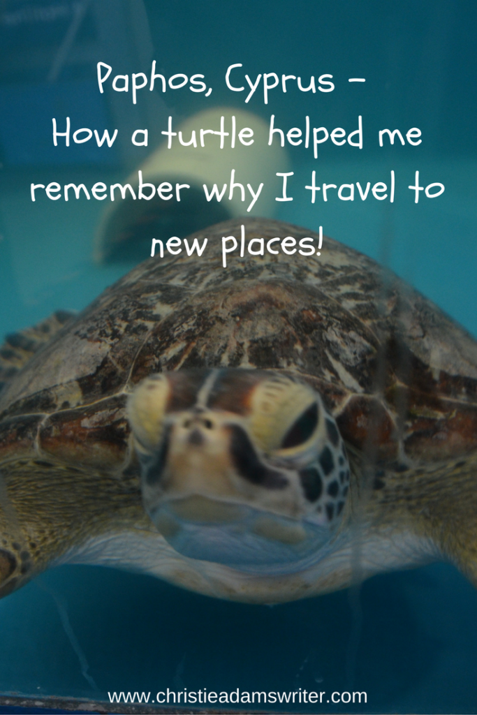 Paphos, Cyprus – How a Turtle Helped Me Remember Why I Travel to New ...